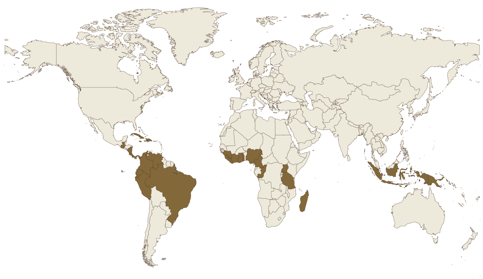 Cocoa - Walter Matter